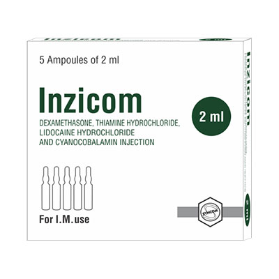 Home Backup 01 – Syncom Formulations (India) Limited.