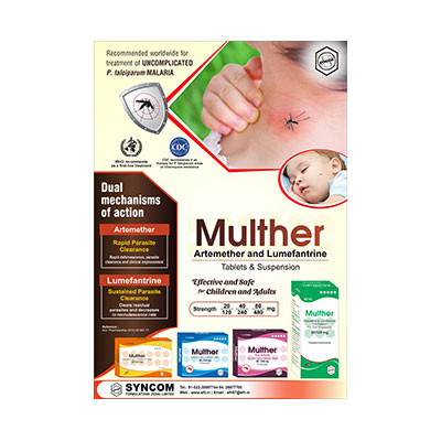 Home Backup 01 – Syncom Formulations (India) Limited.